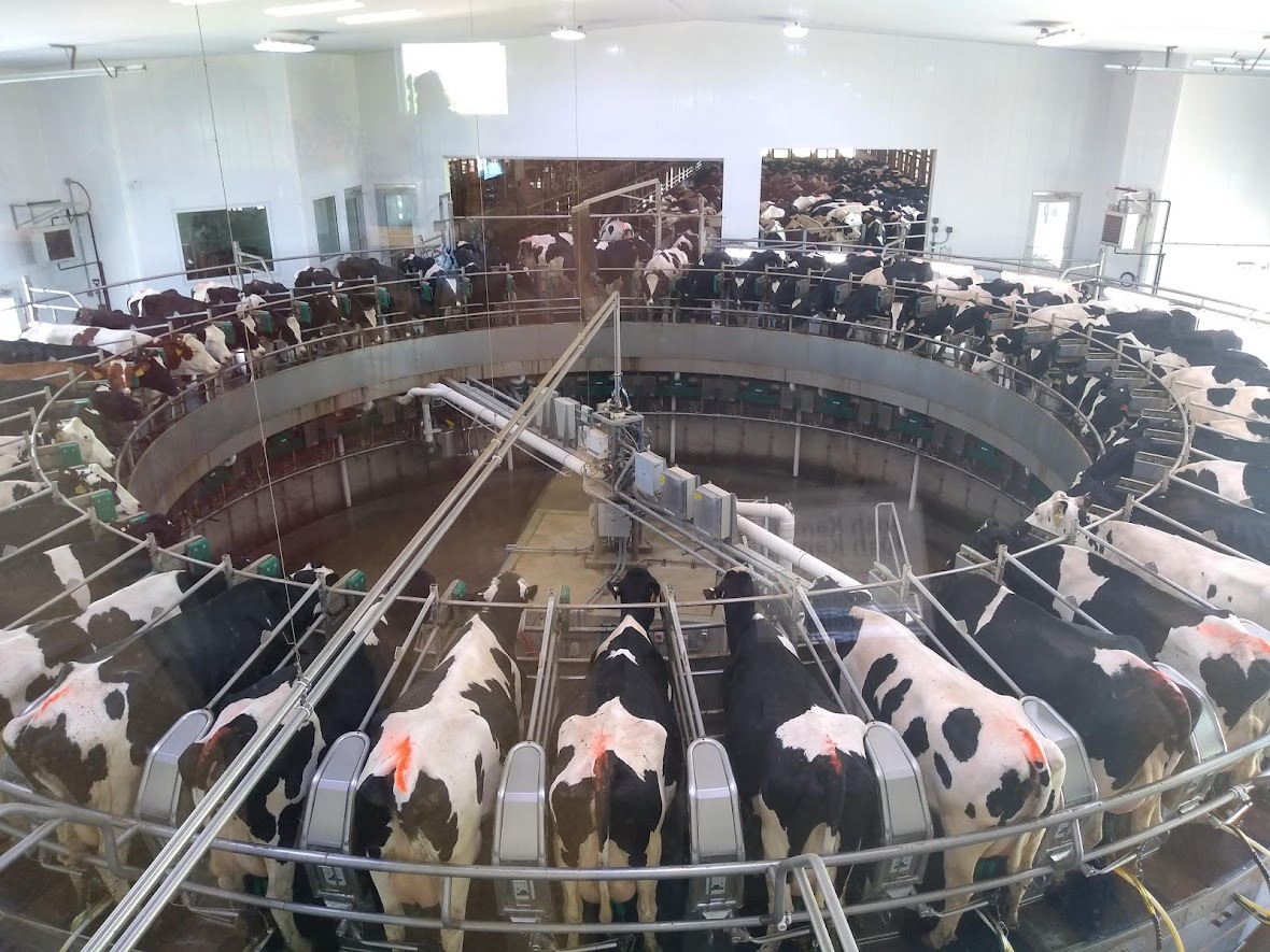 Dairy – Extension Lafayette County